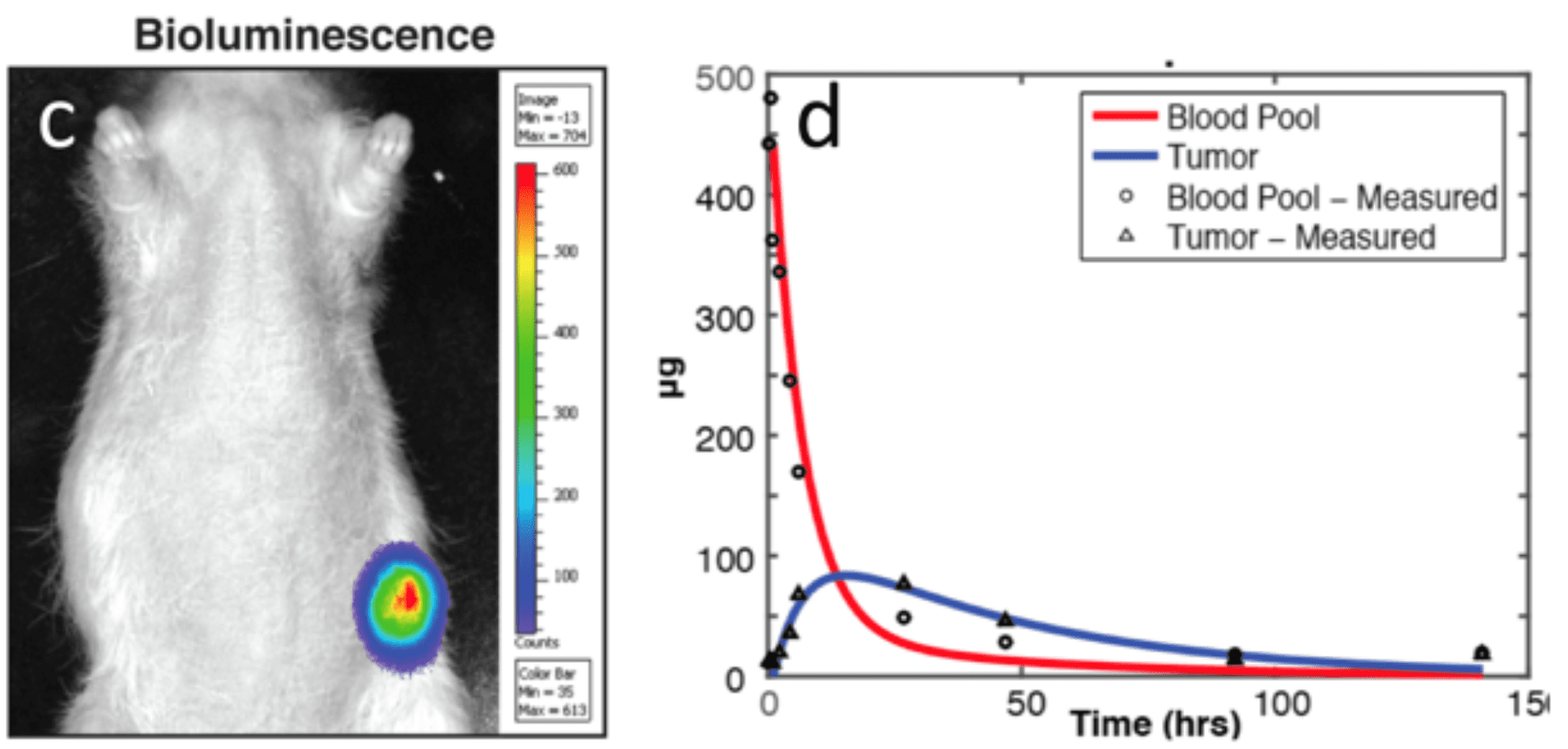 Magnetic Particle Imaging Emerges into Preclinical Research: Hardware ...